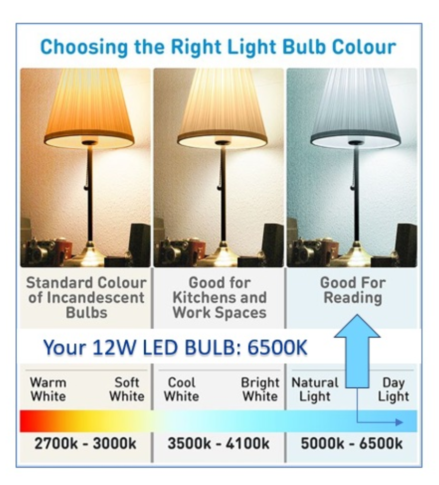 12W B22 LED Bulb 6000K Buy in Ireland | Ledex Lighting